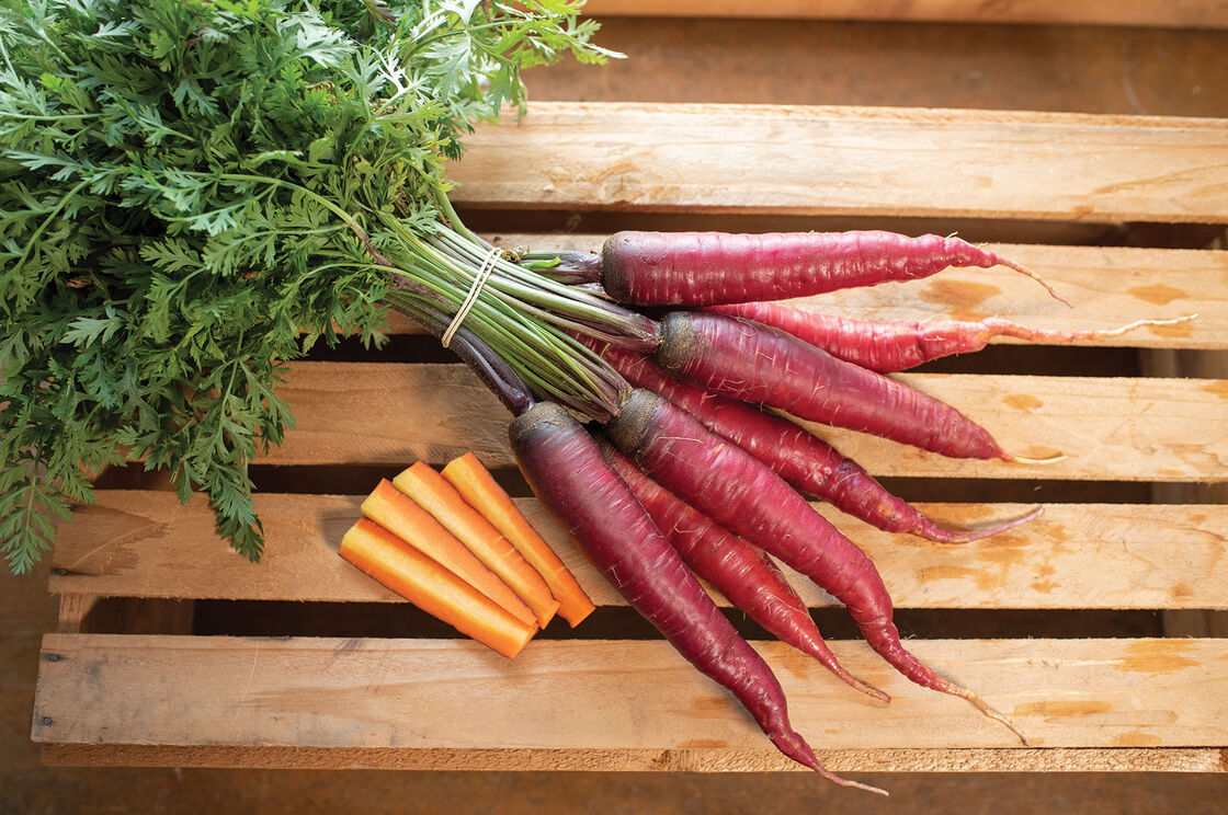 Carrot - Dragon – Root and Roux